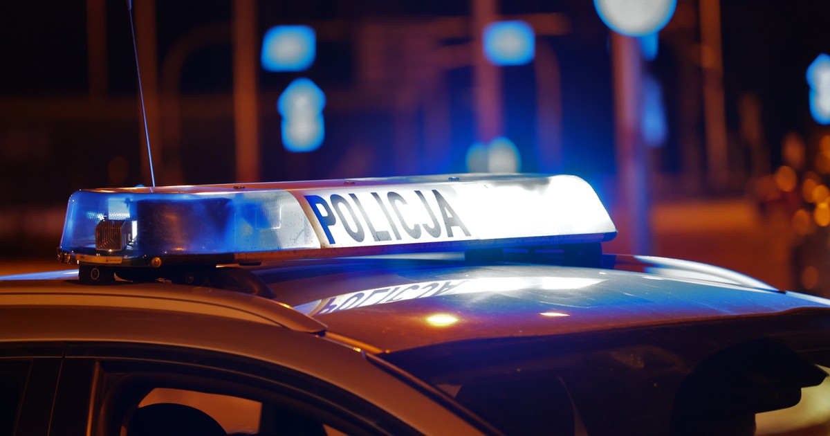 Trzeci morderca z Piekoszowa zatrzymany. Miesiącami policję wodził za ...