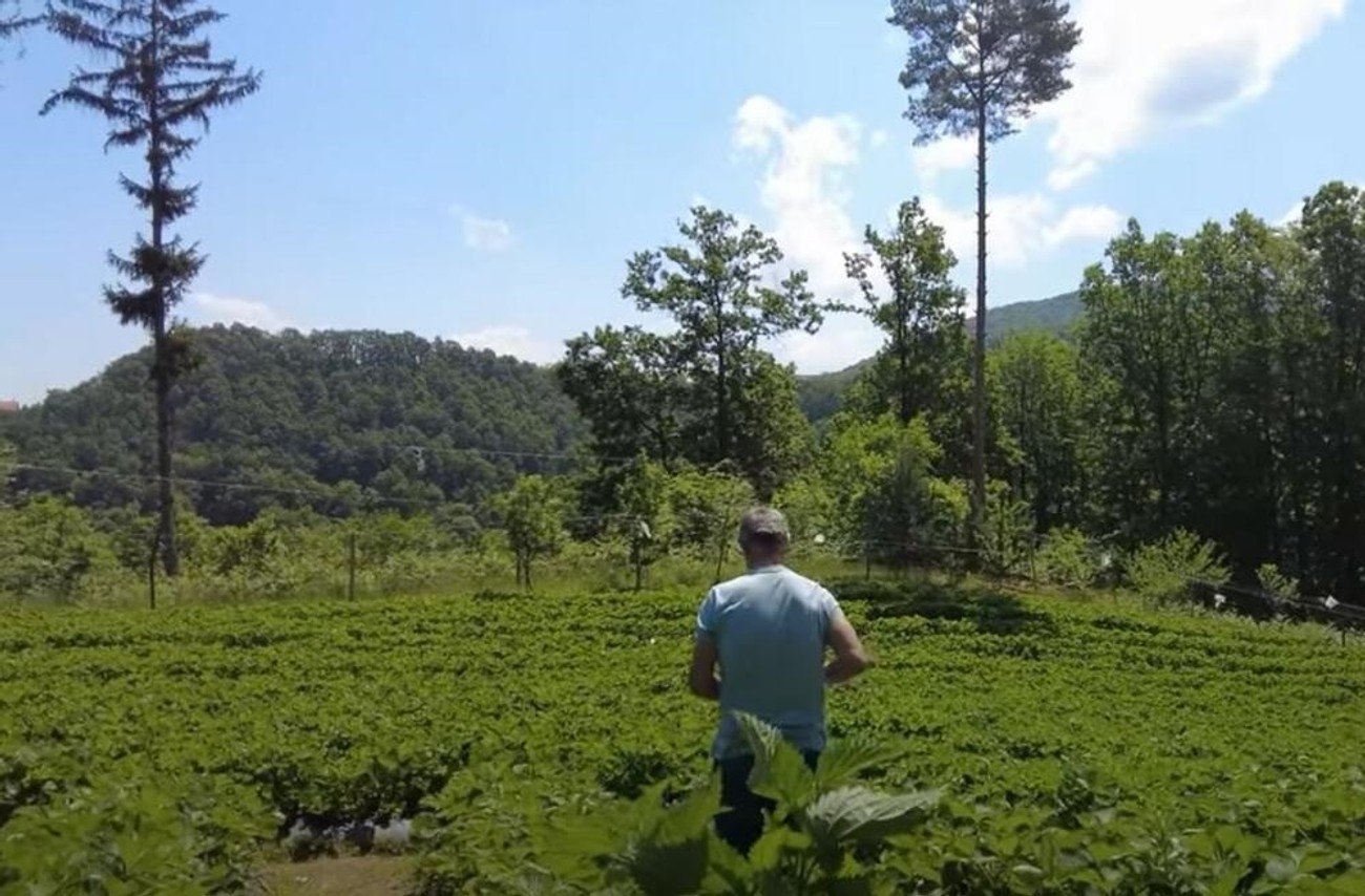 Zaradi i do 10.000 evra za par meseci: Osman godinama živeo od ...