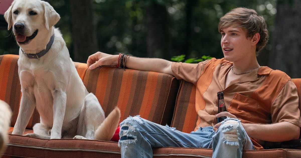 11 of the most cringeworthy moments in Netflix's 'Dog Gone' | Business ...