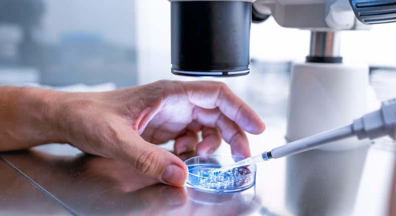 Scientists made tiny living 'robots' from human cells that may one day ...