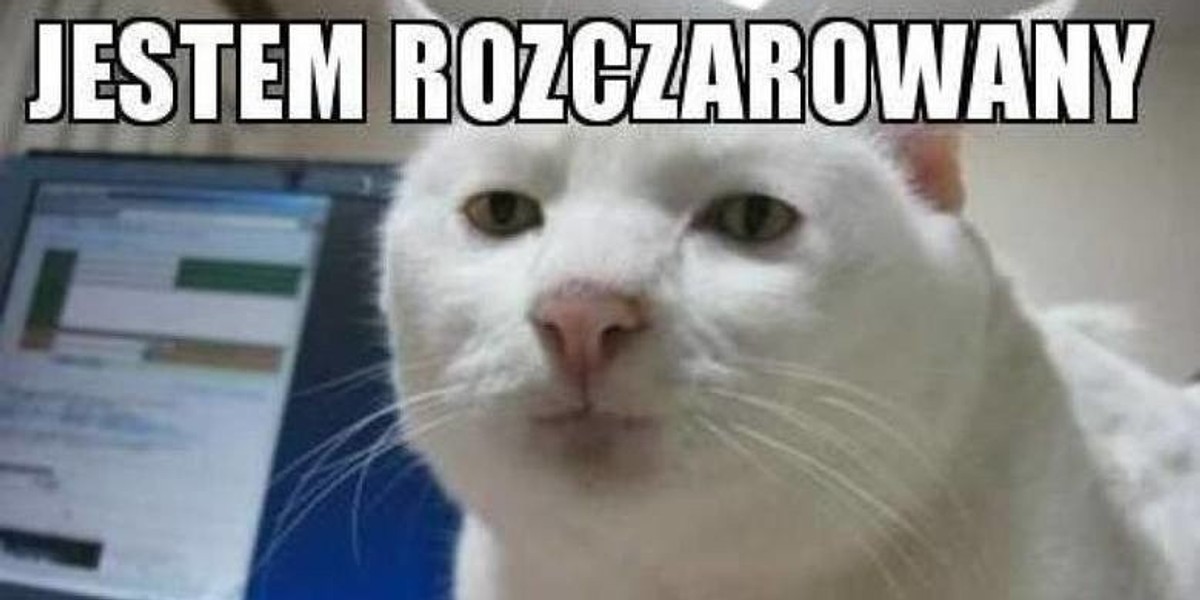 Zobacz najlepsze memy o kotach. Samo życie - Kobieta