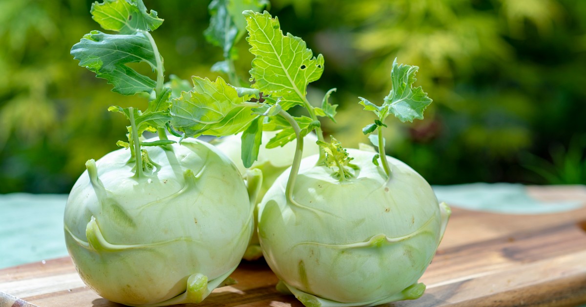 Kalarepa - jak wpływa na zdrowie. Osiem ważnych faktów - Kobieta