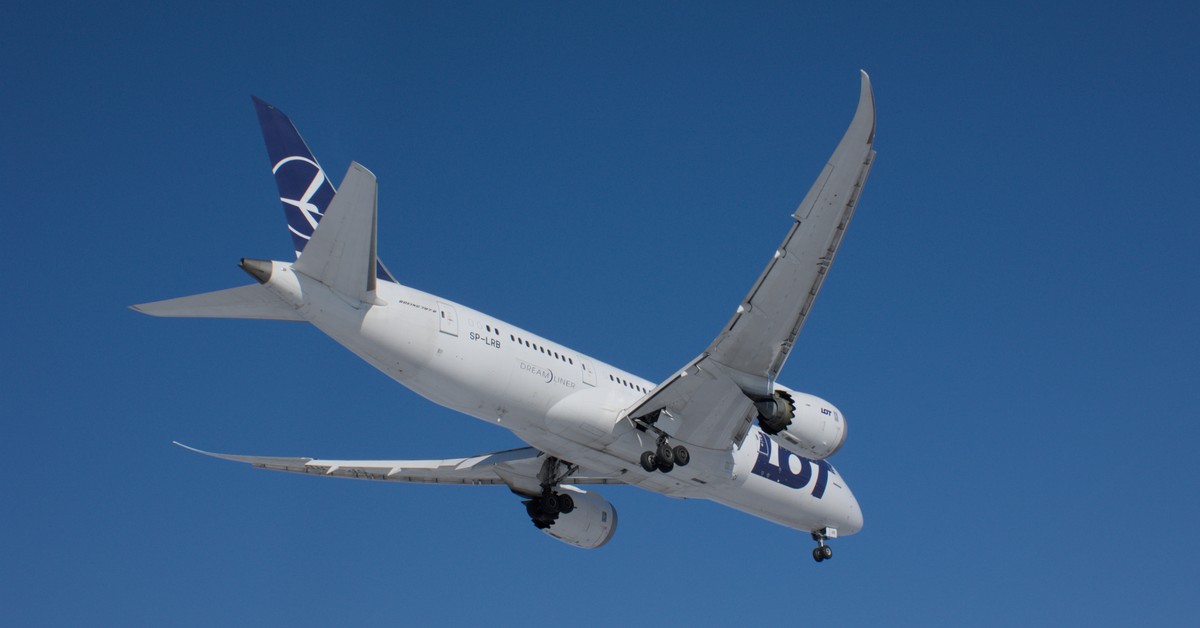 Z Krakowa do Bydgoszczy samolotem. PLL Lot uruchamia nowe połączenie - Forsal.pl