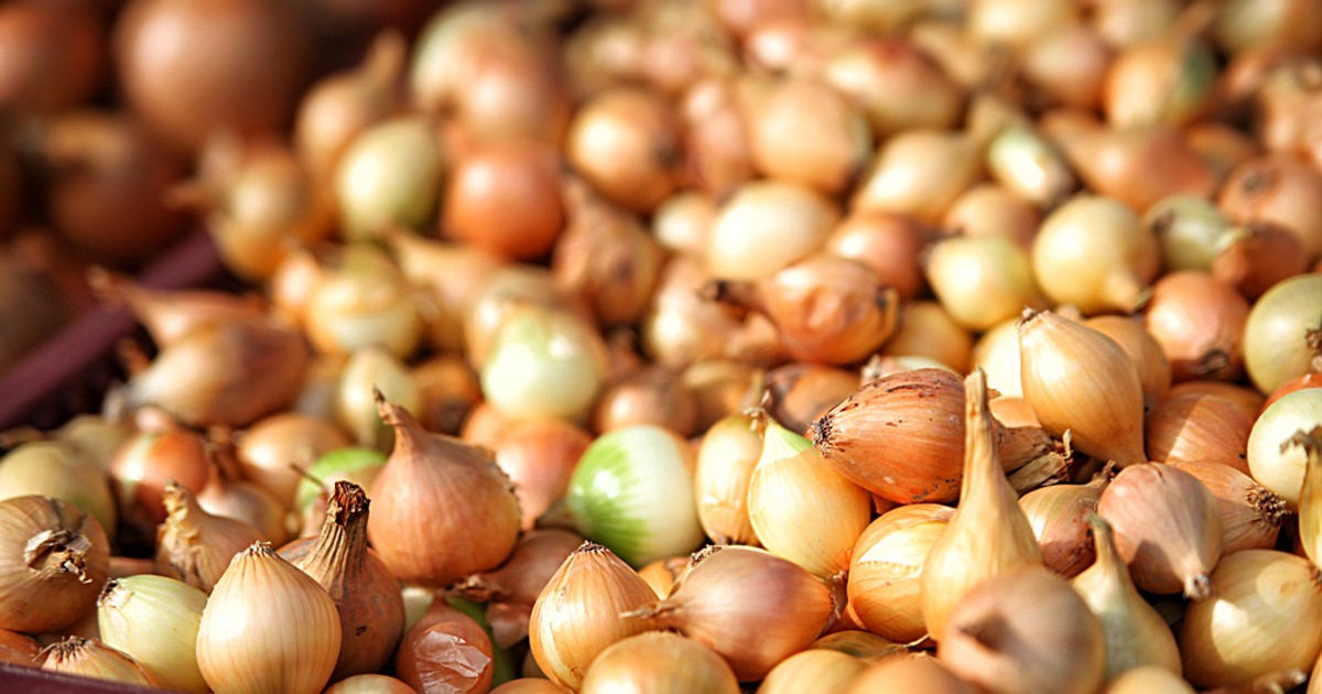 Sześć genialnych zastosowań cebuli, o których najprawdopodobniej ...
