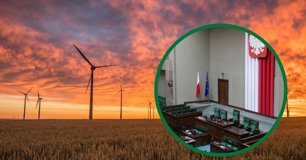 Ustawa wiatrakowa: brak przepisów generuje olbrzymie straty dla Polski - Biznes