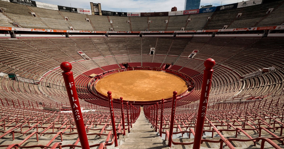 Walki byków w Meksyku. Zwrot w sprawie - Wiadomości
