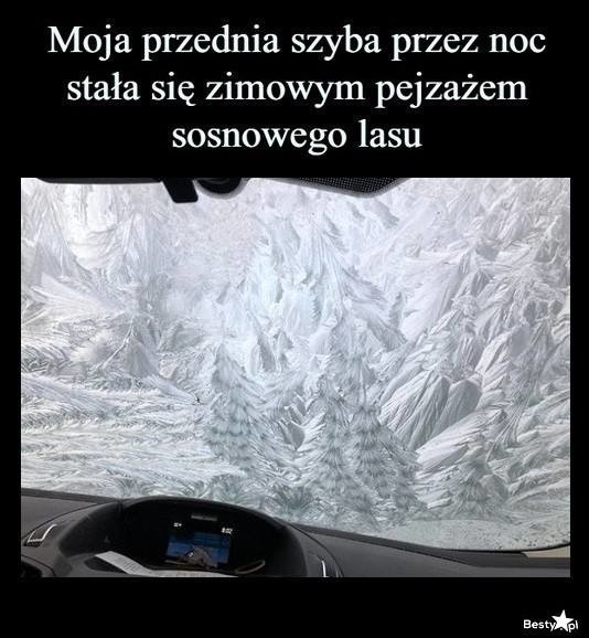 Zimno? Pora na rozgrzewającą dawkę śmiechu. Najlepsze memy o mrozie ...