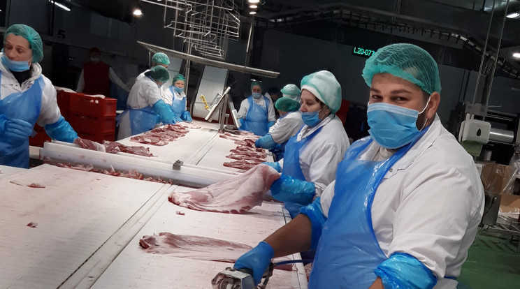 „Keserves időszakot éltünk át” – Ezért nem omlott össze a hazai ...