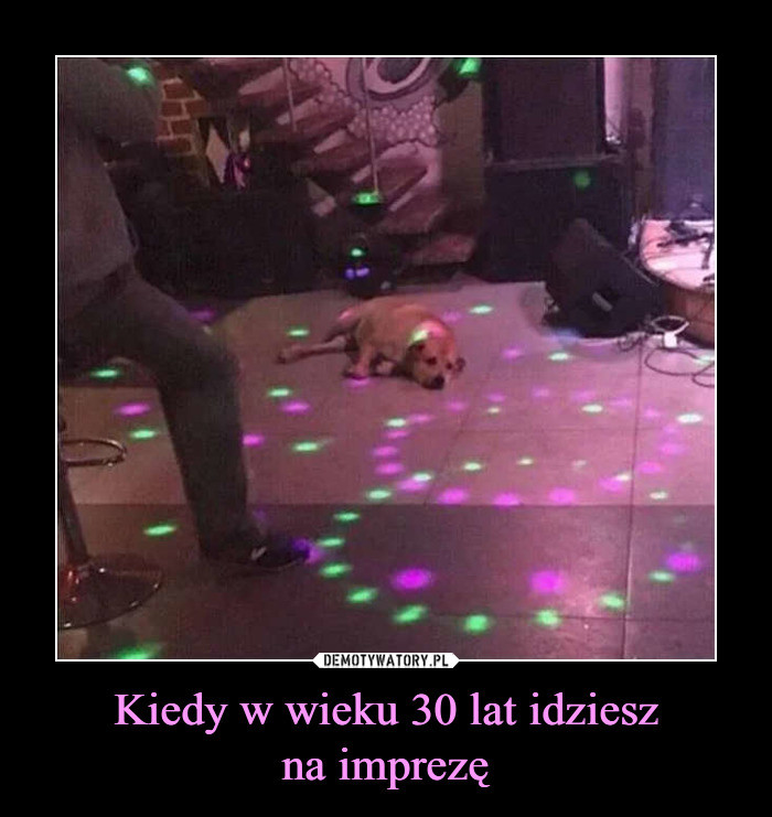 Życie po "30". Oto najlepsze memy o życiu po trzydziestce - Kobieta