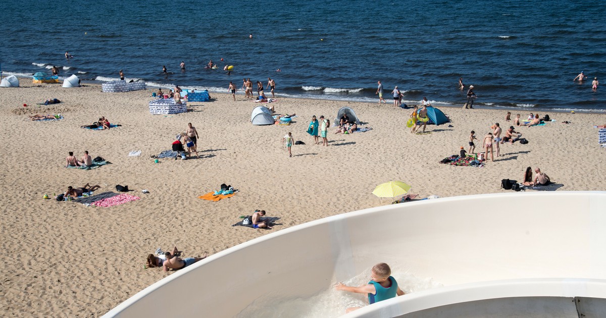 Jak się zachowują rodzice na wakacjach z dziećmi. Piją, przeklinają, są ...