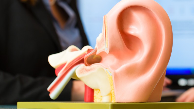 Sivantos przeniósł do Poznania produkcję aparatów słuchowych - Wiadomości