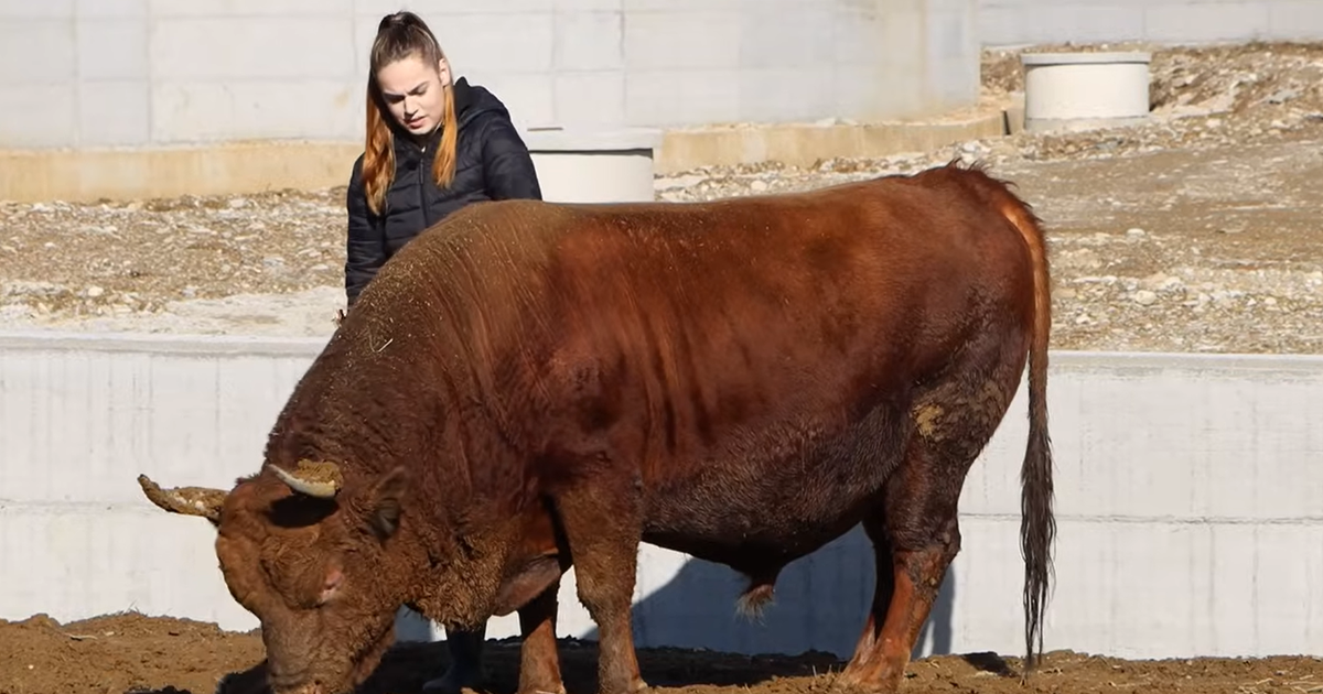 Martina Batista je kraljica koride i najmlađi kondicioni trener bikova u Bosni i Hercegovini - Blic