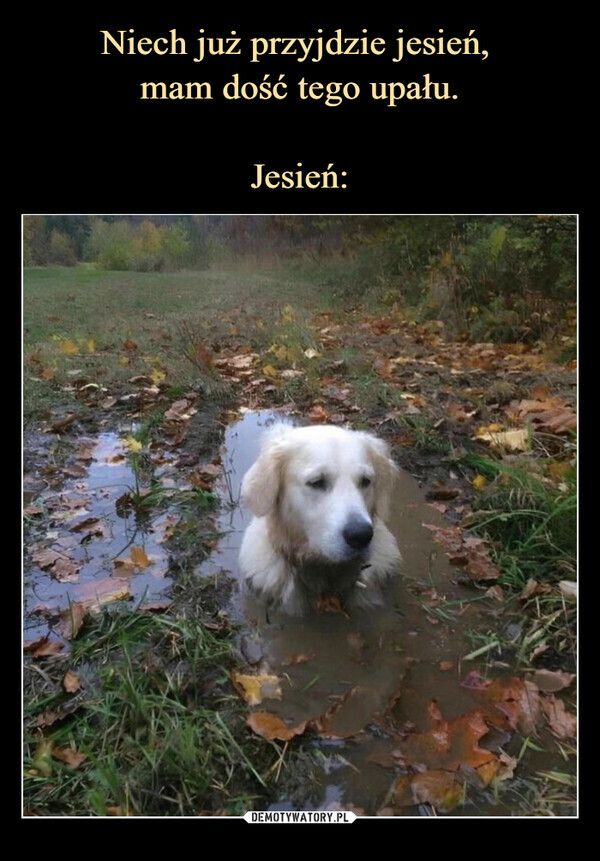 Najlepsze memy o jesieni. Internauci w formie - Kobieta