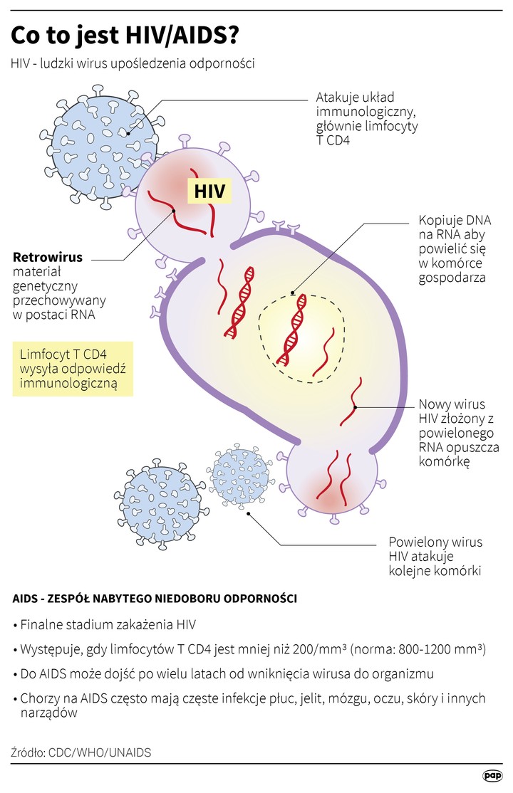 Światowy Dzień AIDS. Jak zwalcza się wirusa HIV? [WYJAŚNIAMY]