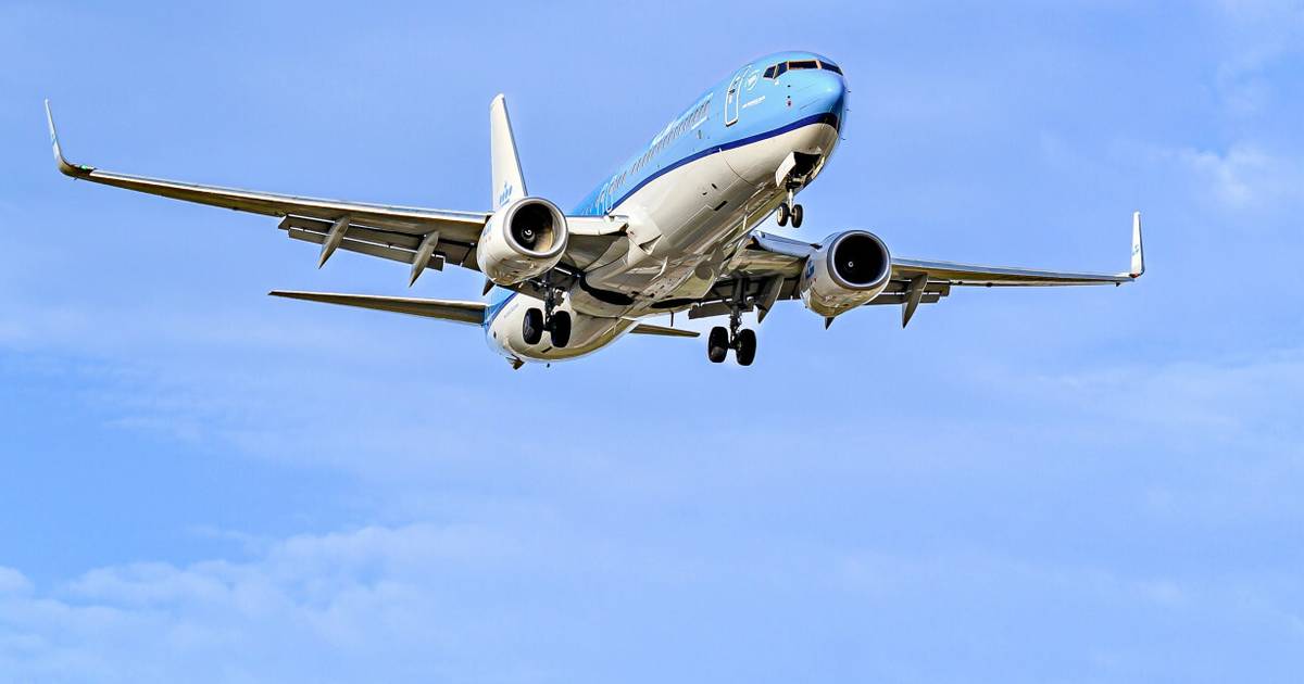 Linia lotnicza wprowadza bilety bez bagażu podręcznego. "Ordynarny ...