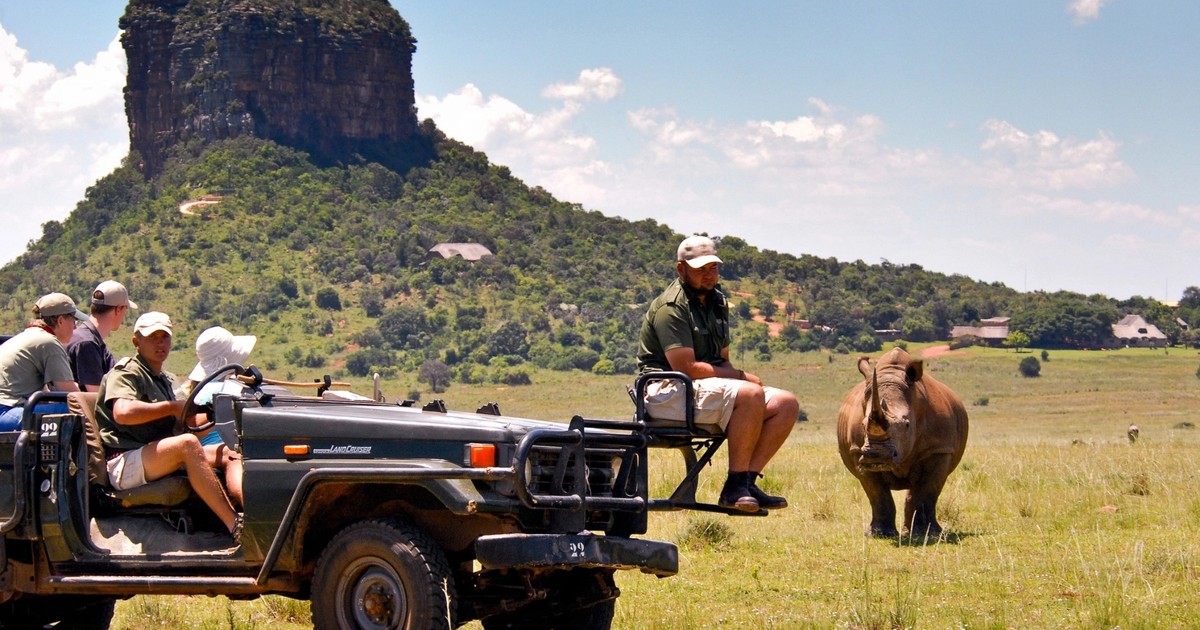 Niezwykłe safari w RPA z noclegiem w środku buszu. Dzika natura na wyciągnięcie ręki
