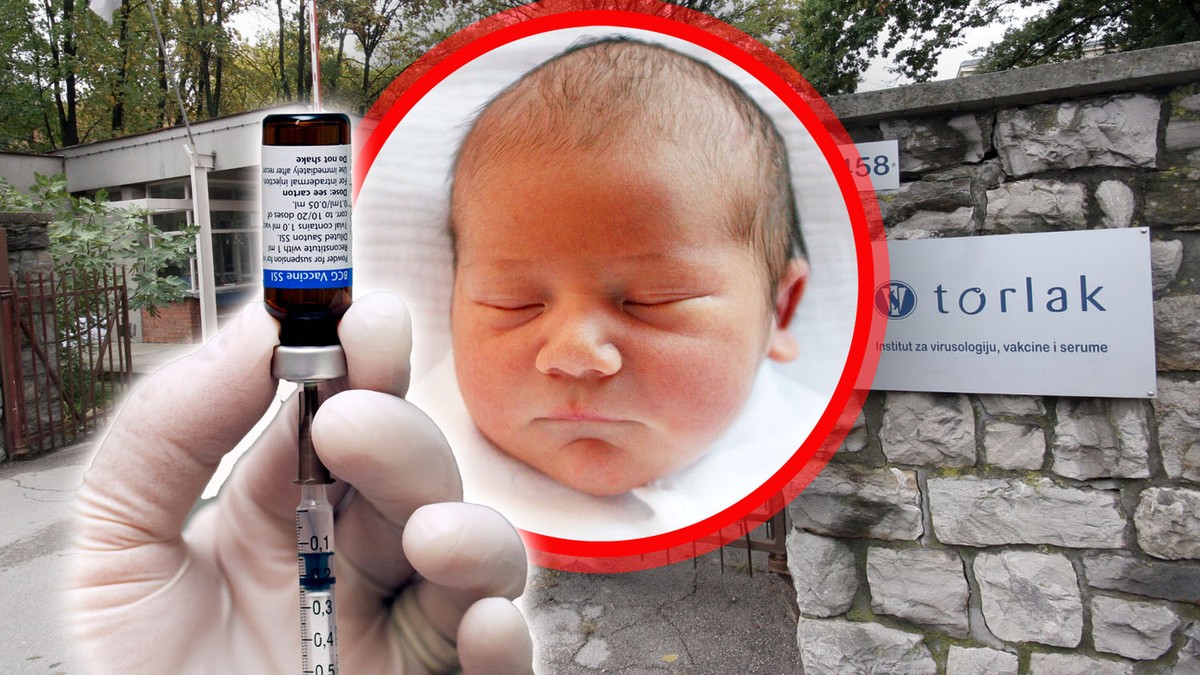 Institut "Torlak": "Odsek za BCG vakcinu nije ugašen, planirana je reorganizacija pogona" - Blic