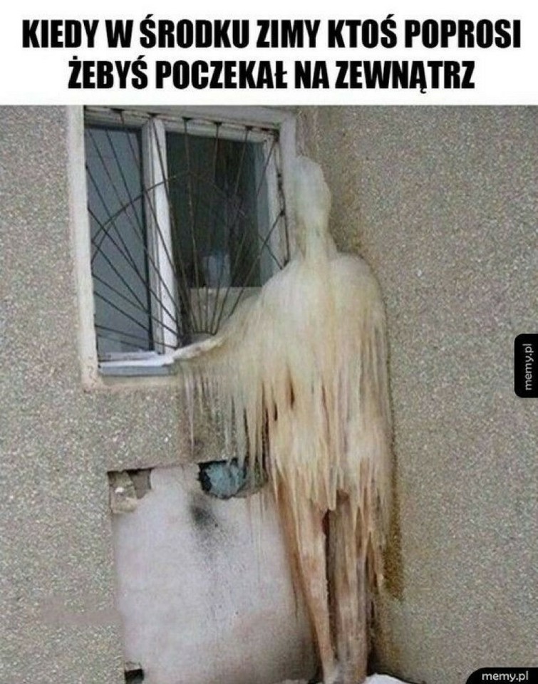 Zimno? Pora na rozgrzewającą dawkę śmiechu. Najlepsze memy o mrozie ...