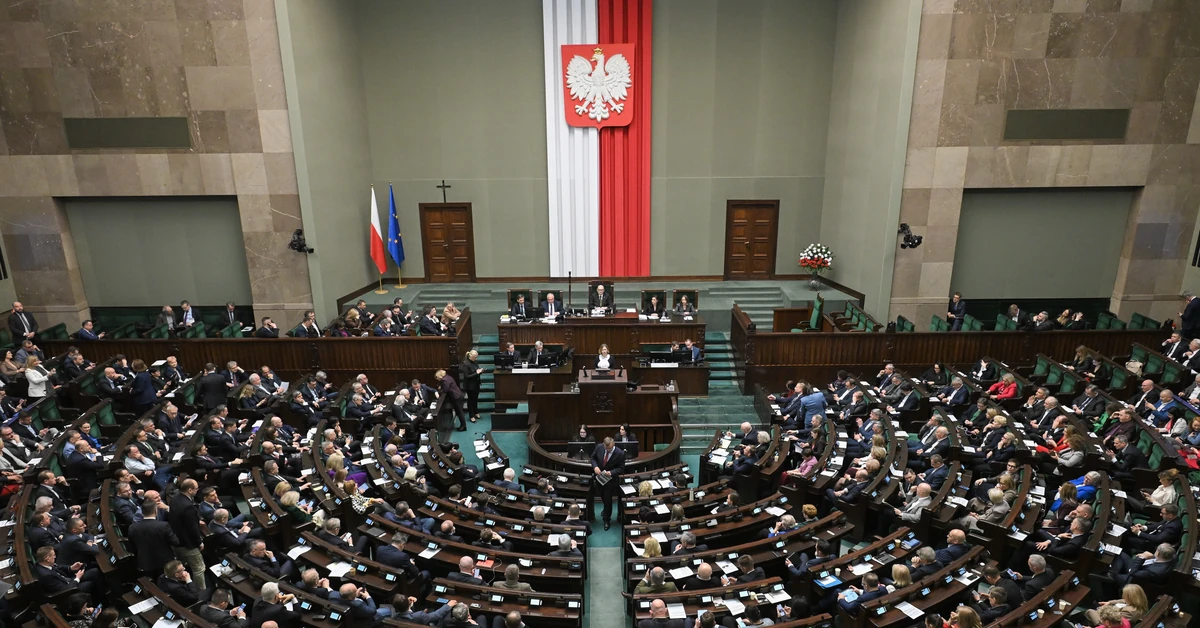 Kobra kontra Konfederacja? Korwin i Braun wracają do gry - Dziennik.pl