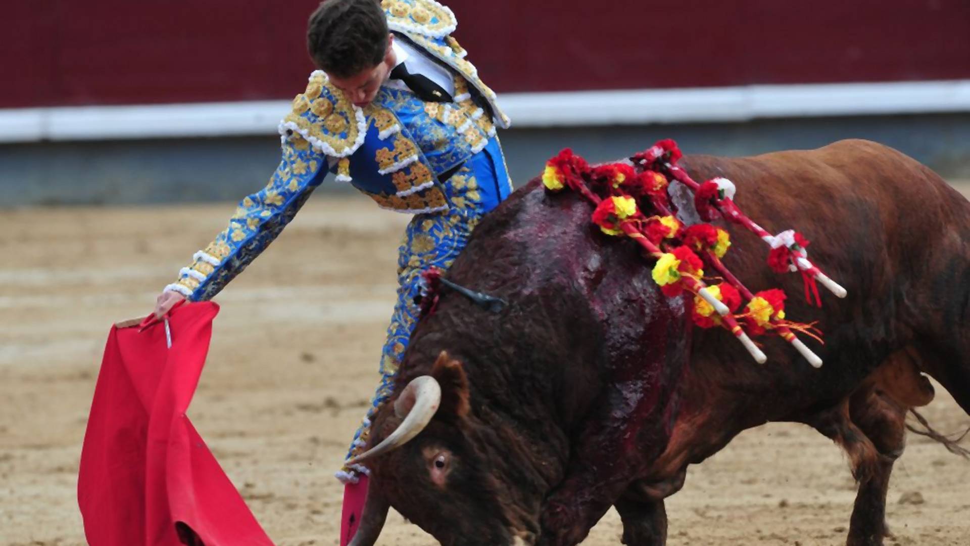 Korrida nie znajdzie się na liście niematerialnego dziedzictwa ...