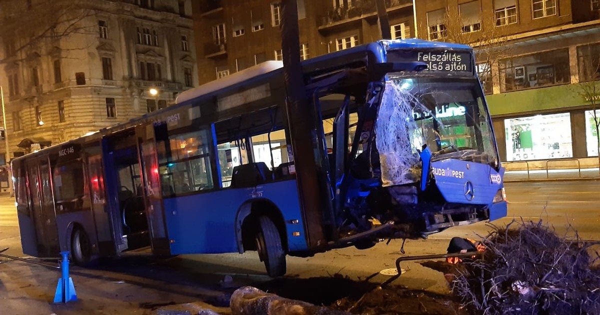 Fán és korlátokon akadt fenn egy BKV-busz a Rákóczi úton - Rúzs Online