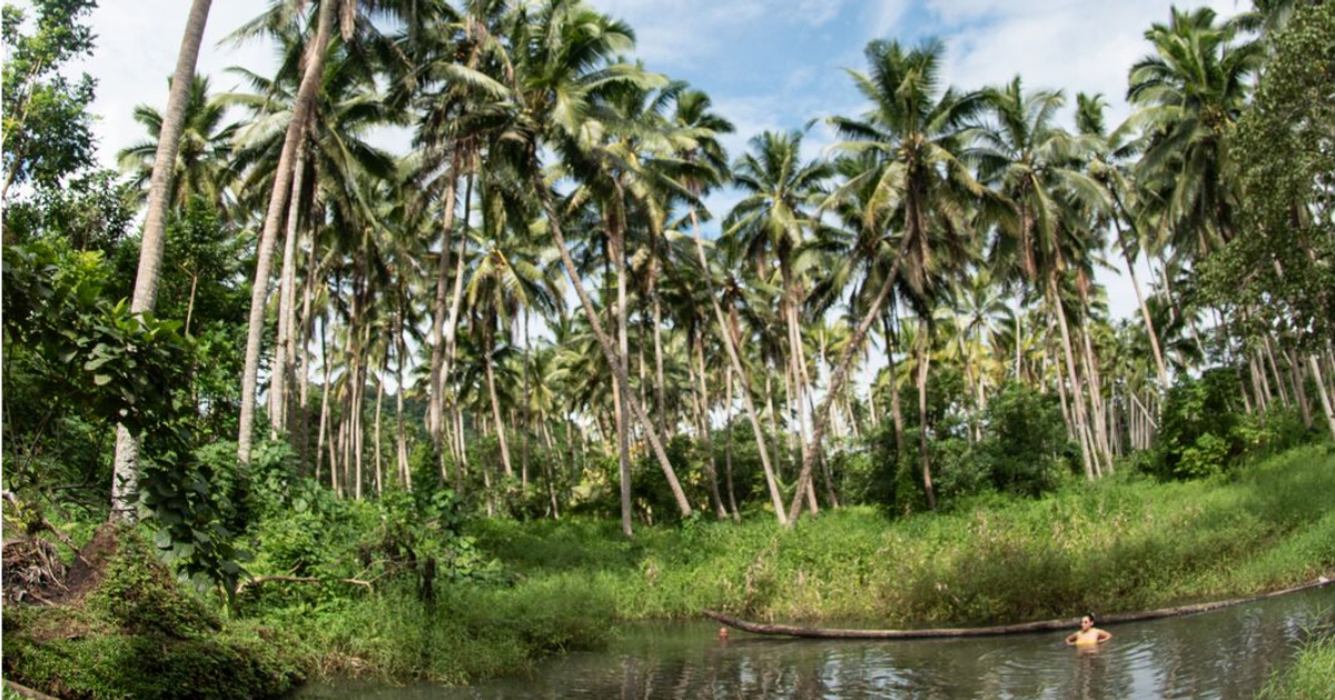 I swam in a volcanic hot pool in Fiji and it was incredibly relaxing ...