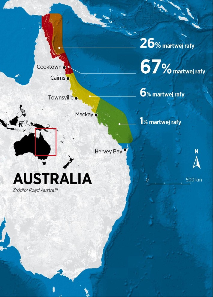 Wielka Rafa Koralowa. Czy rząd Australii ją uratuje? - Świat - Newsweek.pl