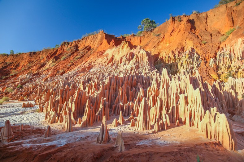 Tsingy de Bemaraha - Kamienny Las na Madagaskarze - ciekawostki ...