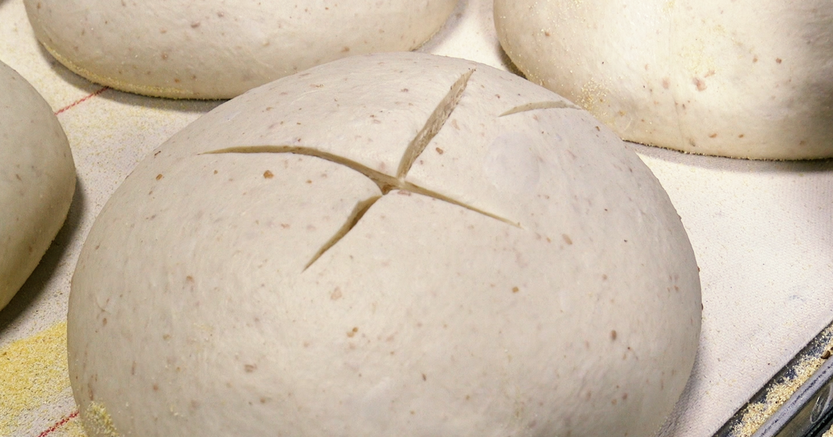 Inside the factory that makes NYC's most legendary bread | Business ...