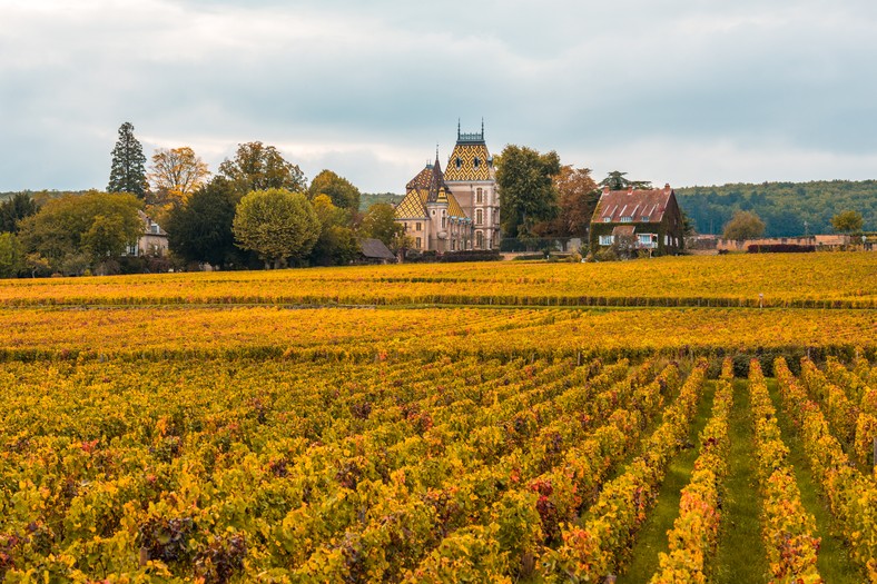 Burgundia: mozaika parceli winiarskich we Francji. Ciekawostki ...