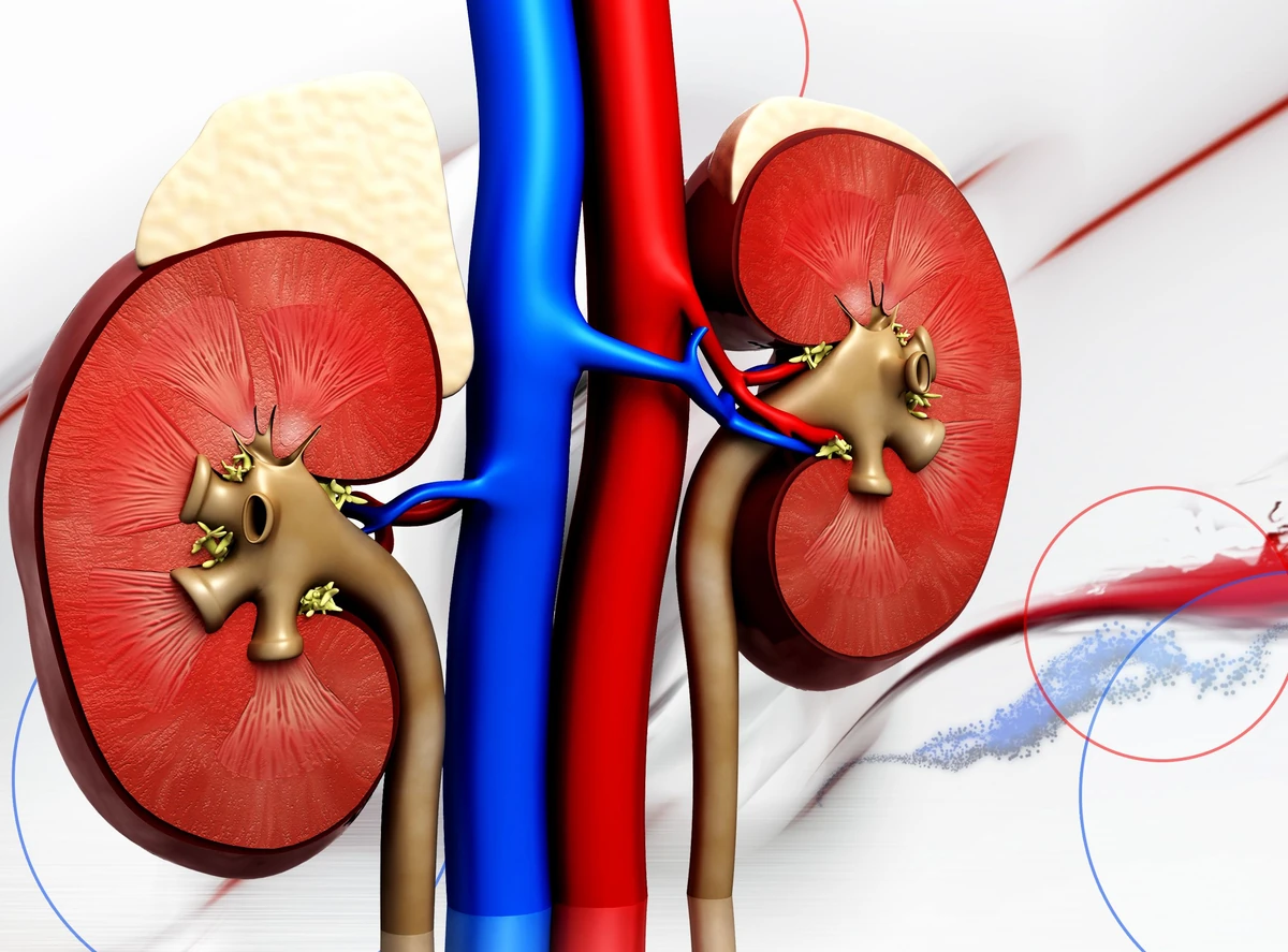 90 proc. przypadków przewlekłej choroby nerek pozostaje nierozpoznanych ...