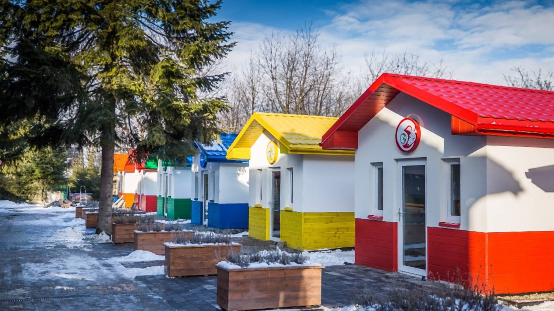 w-przemy-lu-powsta-a-psia-wioska-z-mini-domkami-dla-czworonog-w-noizz