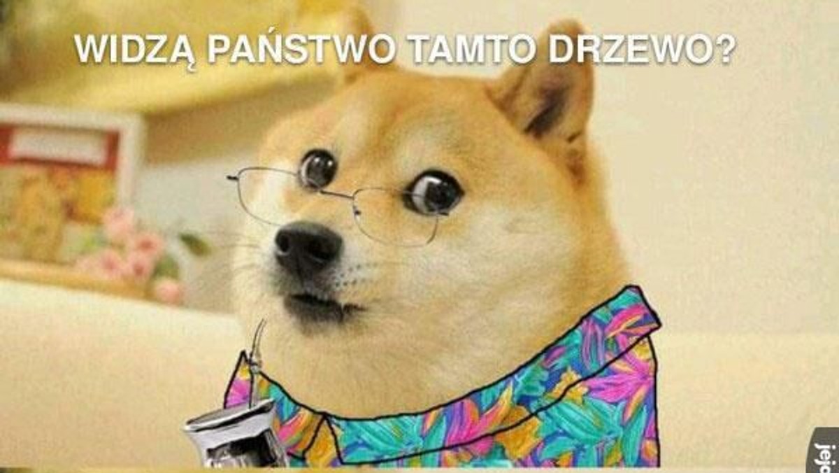 Słynny "pieseł" nie żyje. Wspominamy memy z "piesełem" w roli głównej ...