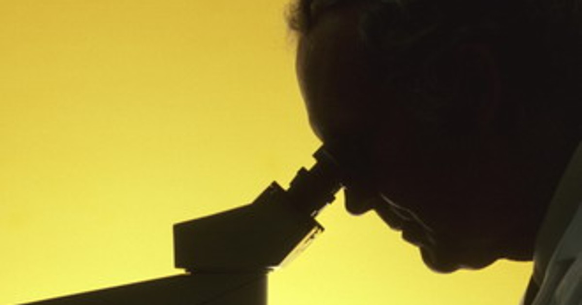 A lombik ára - Rúzs Online