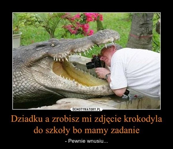 Dzień Dziadka. Najlepsze memy o polskich dziadkach. Uśmiejesz się do ...