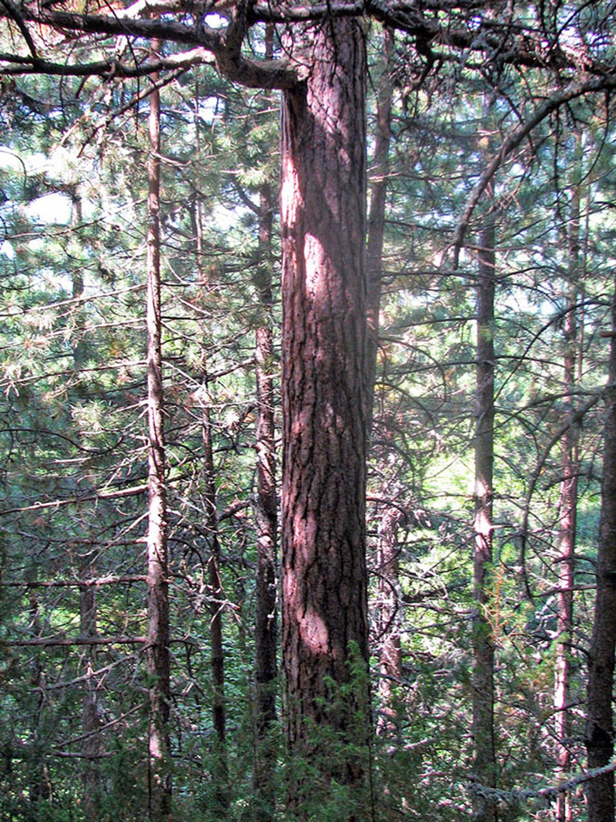 (FOTO) SEDAM SRPSKIH ČUDA PRIRODE Ovi predeli Srbije su posebni, evo i ...