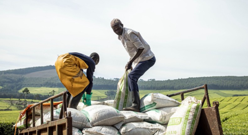 War, supply chains and the fertiliser security deficit | Business ...