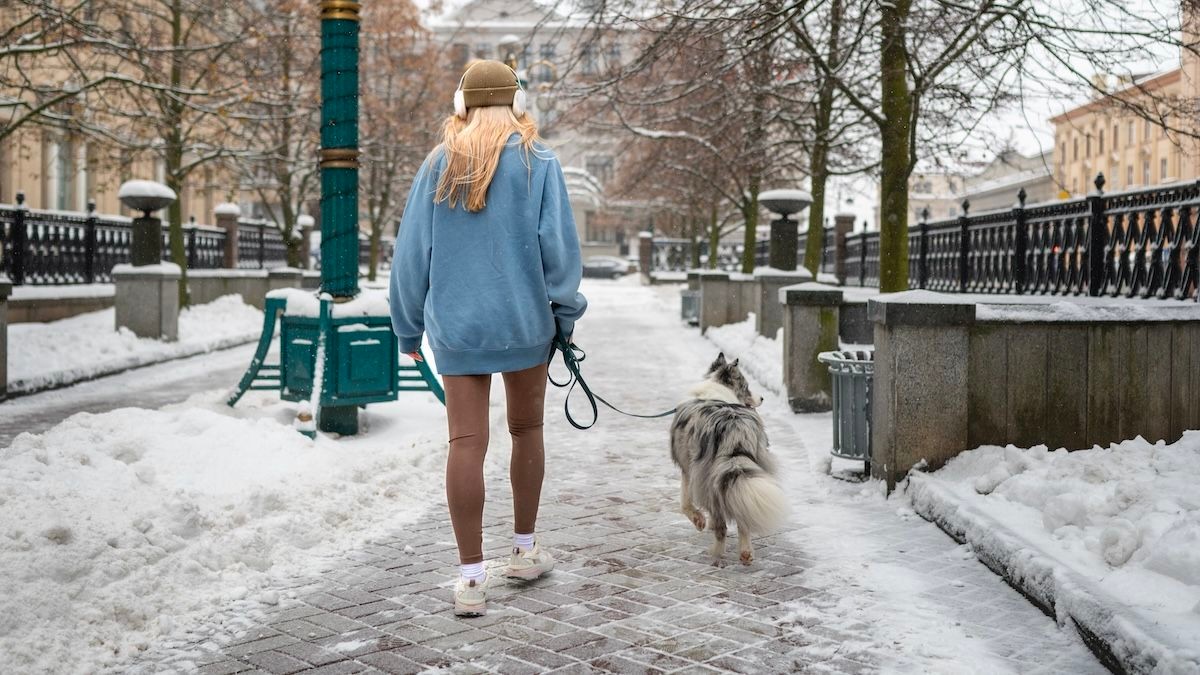 Počasie v Nových Zámkoch: Utorok prinesie teploty nad nulou, zrážky sa ...