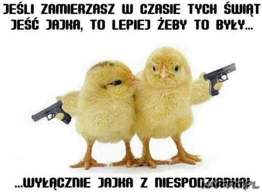 Wielkanoc na wesoło. Najśmieszniejsze świąteczne memy z internetu - Kobieta