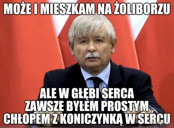 Mateusz Morawiecki szuka koalicjanta. Internauci drwią z PiS [MEMY ...