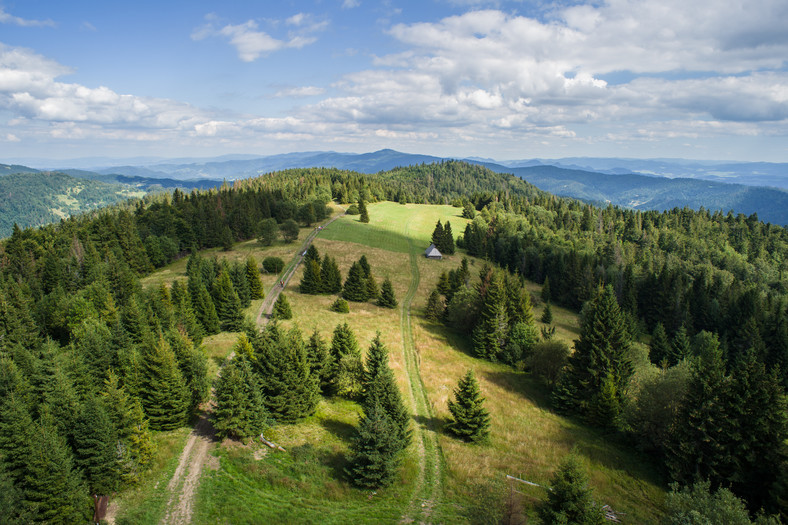 Magurka Wilkowicka, czyli mała górka a cieszy - Podróże