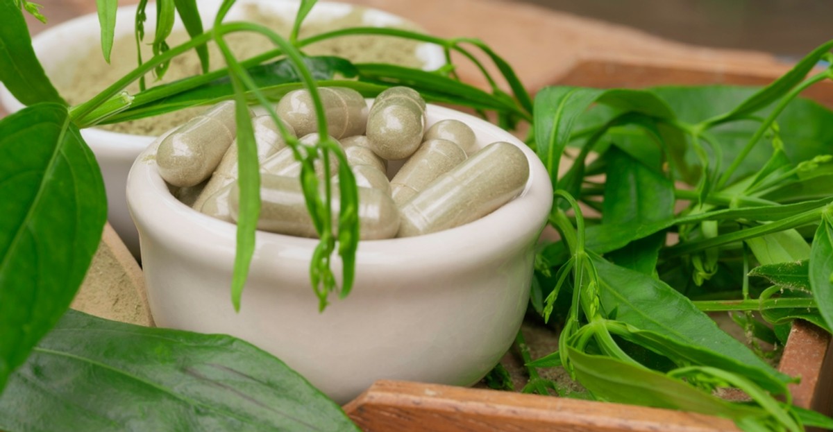 Andrographis to silna broń na wirusy, bakterie i pasożyty. Działa jak ...