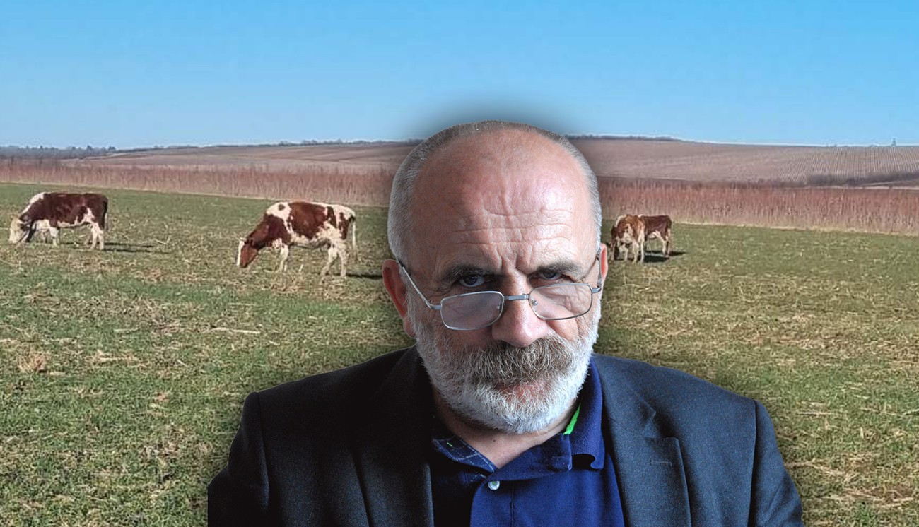 Rističević o navodima da je povezan s MMA borcima i tučom paora