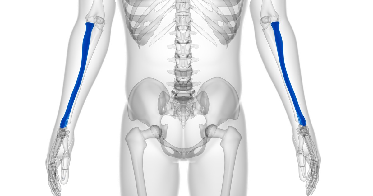 Kość promieniowa – budowa, funkcje, urazy. Rehabilitacja po złamaniu ...