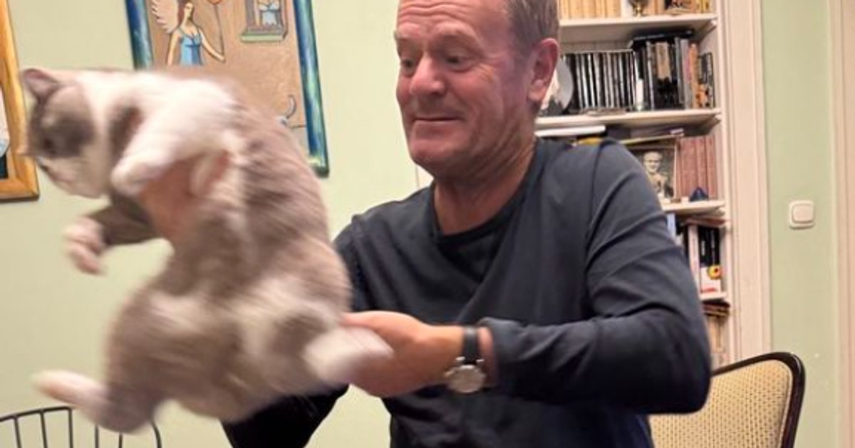 Donald Tusk pokazał zdjęcie z kotem i psem. Internauci: pewne ...