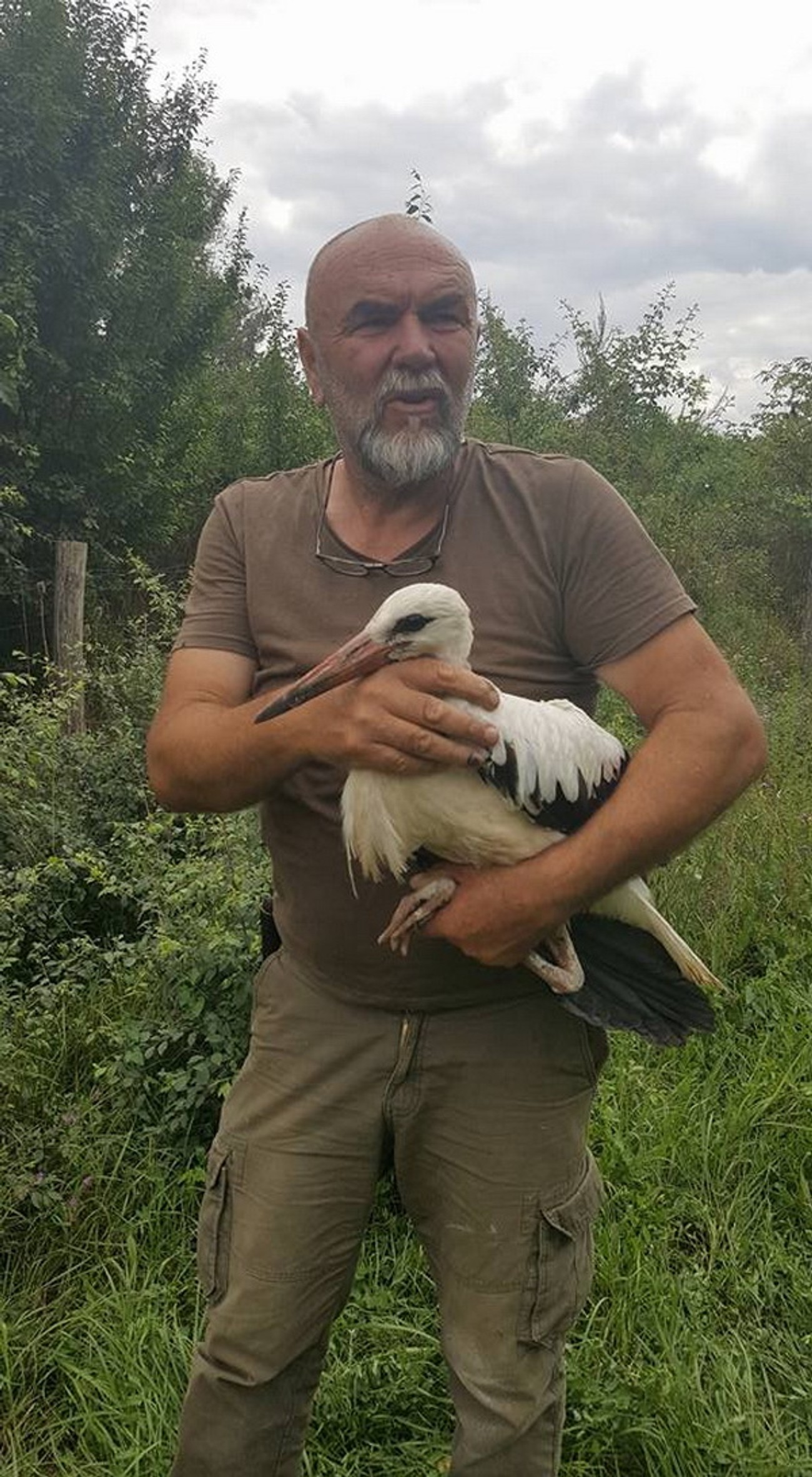 DOBRO DELO Roda se upetljala u žicu kod Čoke, a uzgajivač sokola joj ...