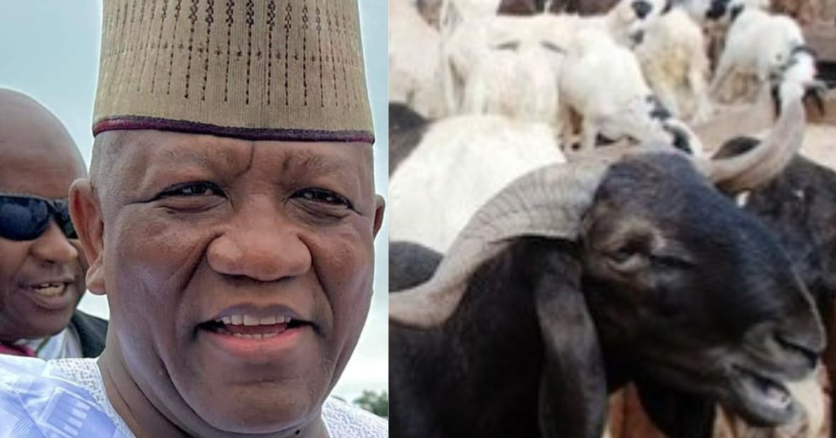 Sen Yari donates 600 rams to his neighbours, poor families for Eid-El ... Sen Yari donates 600 rams to his neighbours, poor families for Eid-El ...