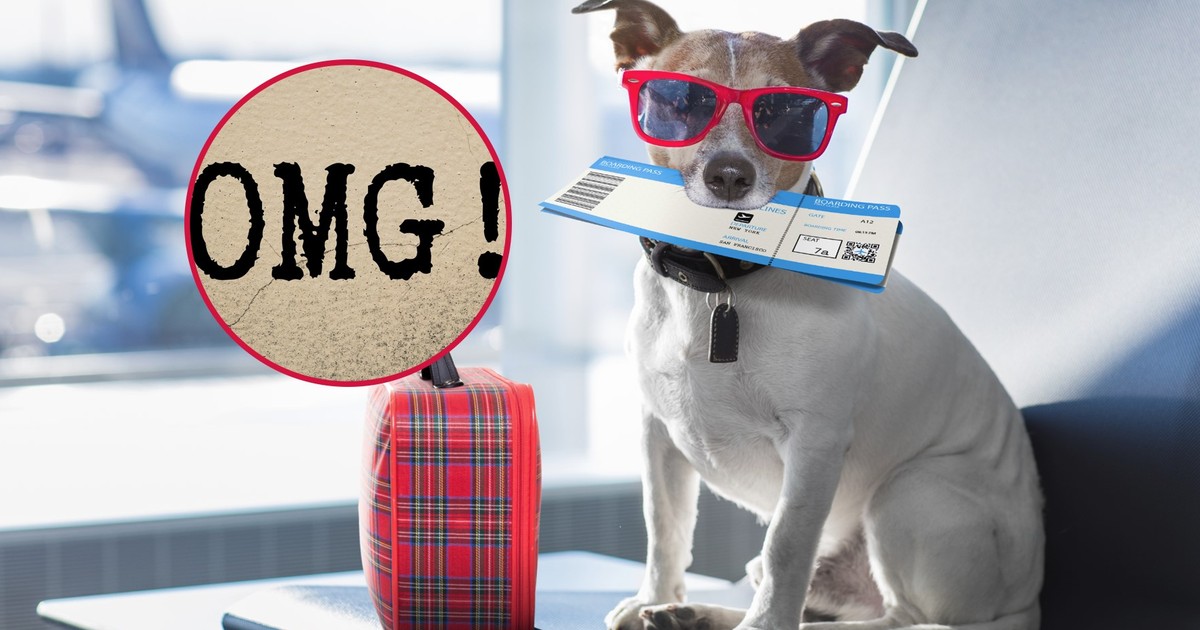 Wyjaśniamy co znaczy xD, Omg, Smh i inne skróty