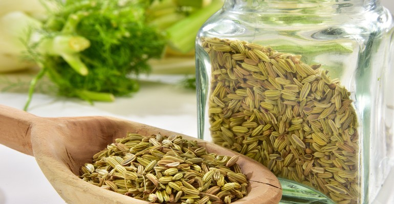 Koper włoski - właściwości, herbata, zastosowanie w kuchni