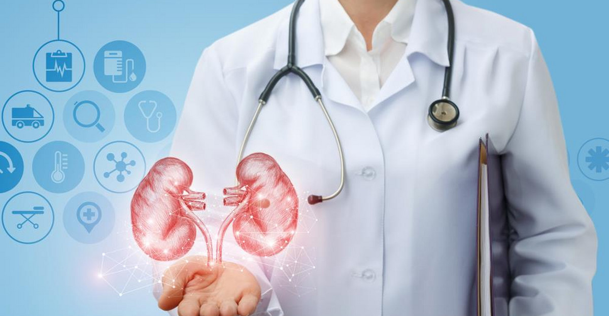 Za co odpowiadają nerki i czym objawiają się choroby nerek?